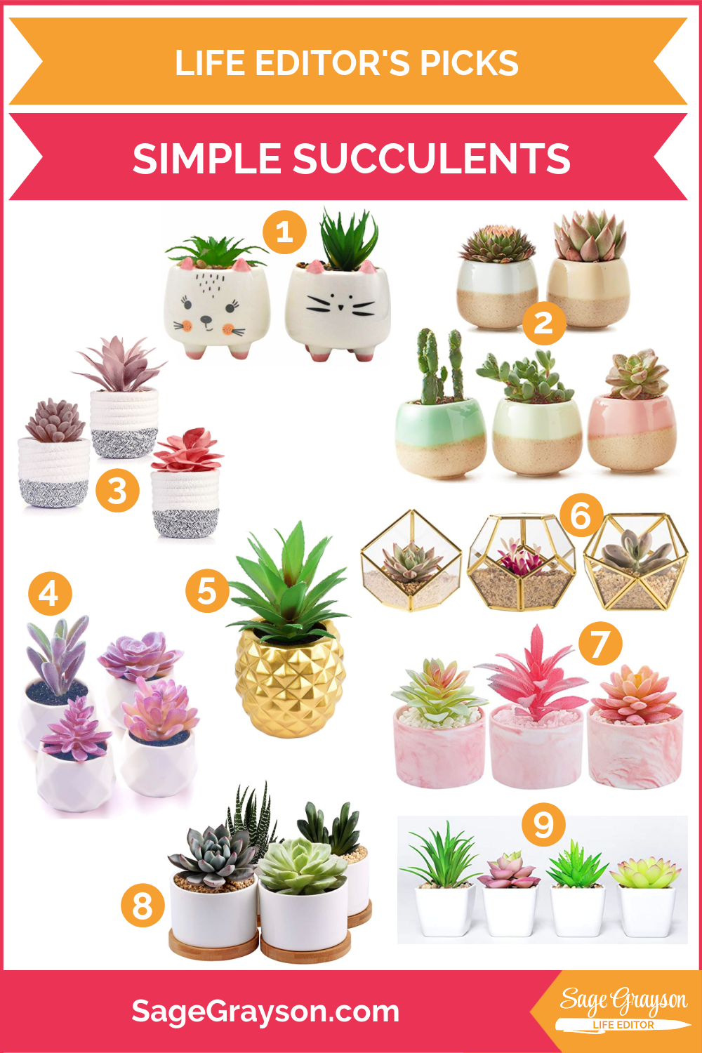 Life Editor's Picks: Simple Succulents - Sage Grayson, Life Editor